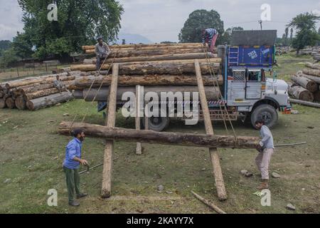 Truck with timber from a logging area, Danum Valley Conservation Area ...
