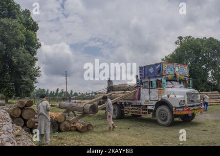 Truck with timber from a logging area, Danum Valley Conservation Area ...