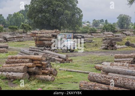 Kashmiri lumberjacks load tree logs onto a logging truck at Timber ...