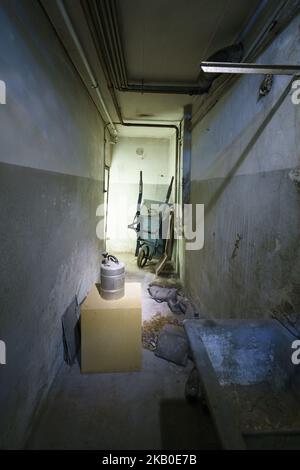 20 March 2018, Germany, Cologne: Snowflakes resting on the first ...