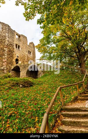 the forest of Thuringia near Bad Liebenstein in Germany Stock Photo - Alamy
