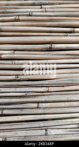 bamboo cane wood texture background Stock Photo - Alamy