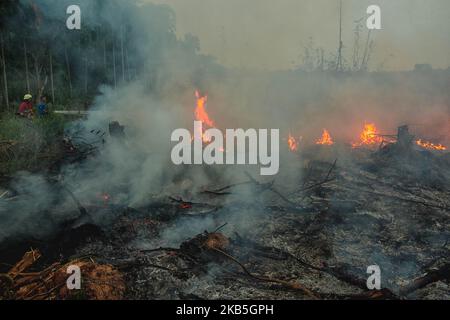 An Indonesian firefighter tries to extinguish peatland fire at Tanah ...