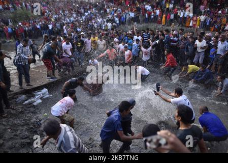 Nepalese devotees pulling a water buffalo as part of rituals before it ...