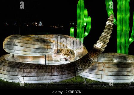 These luminous giants were designed by Colombians and since January ...