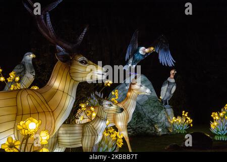 After its successful passage through cities such as Paris, London and ...