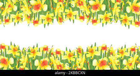 Daffodil Border Clipart