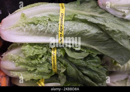 E coli contamination of romaine lettuce Stock Photo - Alamy