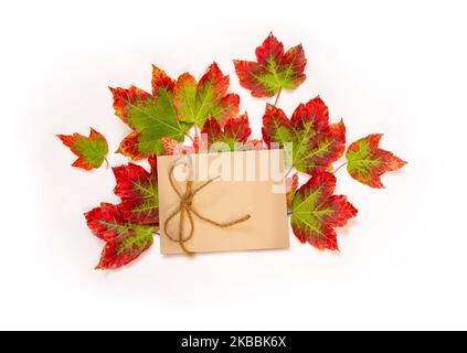 november template with autumn leaves on green background with copy ...