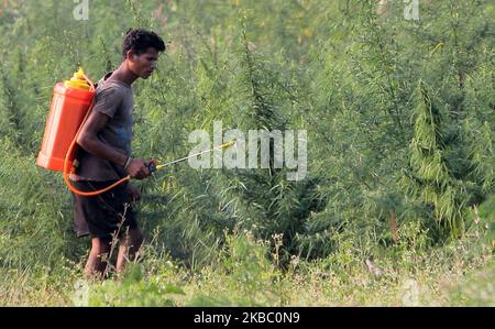 The Balimela reservor near Chitrakonda in eastern Indian state Odisha's ...