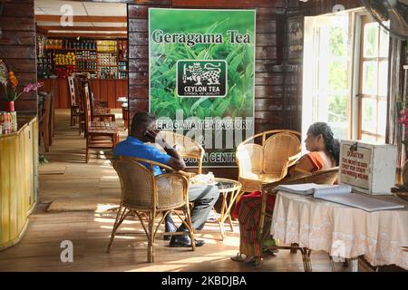 Tea plants at the Geragama Tea Estate in Pilimathalawa, Sri Lanka ...