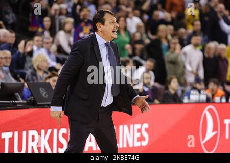 Ergin Ataman during the match between FC Barcelona and Anadolu Efes S.K ...