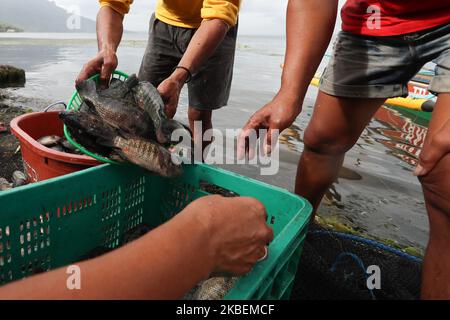 Fish farms on Taal Lake close to the volcano. Tagaytay City ...