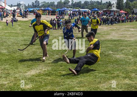 Efkutun traditional Mapuche ceremony. With the efkutun (traditional ...