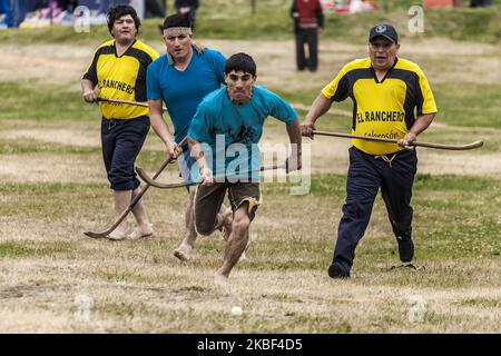 Members of Mapuche Huilliche communities play Palin. With the efkutun ...
