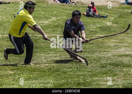 Members of Mapuche Huilliche communities play Palin. With the efkutun ...