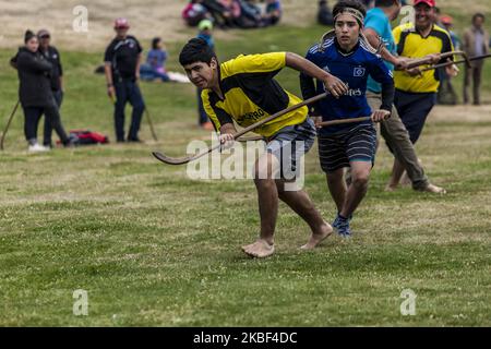 Members of Mapuche Huilliche communities play Palin. With the efkutun ...