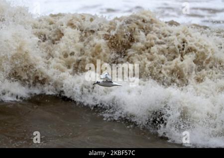 Effects of the Storm Gloria, on 22th January 2020, in Barcelona, Spain ...