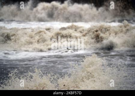 Effects of the Storm Gloria, on 22th January 2020, in Barcelona, Spain ...