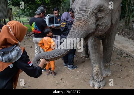 Veterinary from the provincial Riau Natural Resources Conservation ...