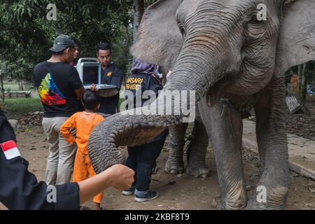 Veterinary from the provincial Riau Natural Resources Conservation ...