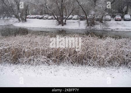 First snow in Warsaw. 29 January, 2020, Warsaw, Poland (Photo by ...