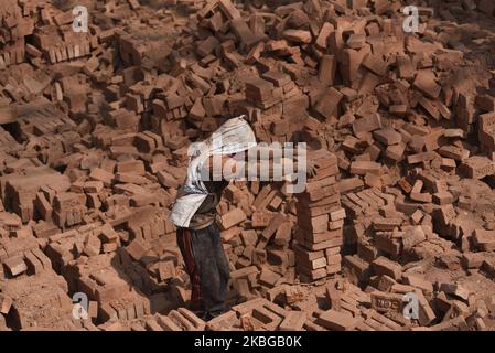 A Migrant Indian labourer stacks bricks to carry at a brick factory in ...