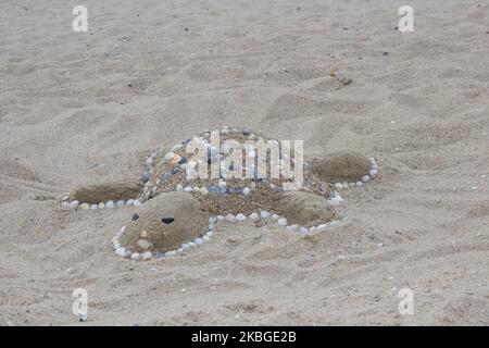 Sand sculpture of sea turtle on beach Stock Photo - Alamy