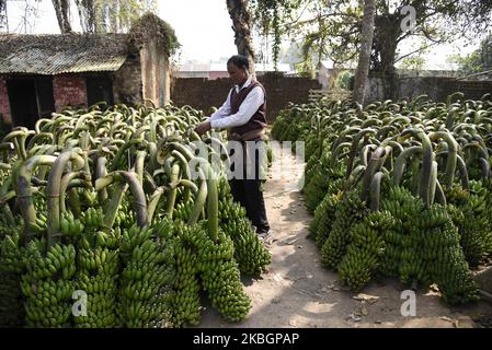 Goalpara, Assam, India. 10th Feb, 2020. Fruit vendor selling banana at ...