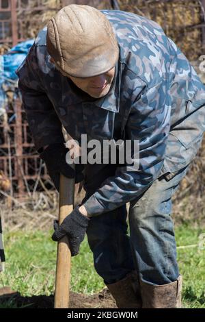 Senior man with shovel working in his garden Stock Photo - Alamy