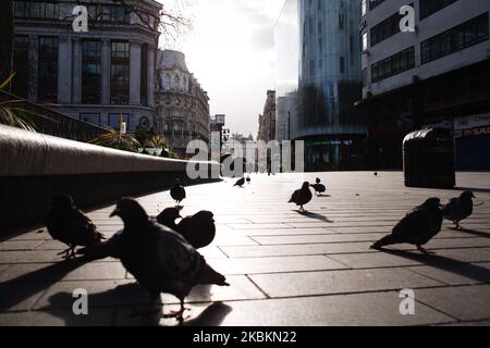 Pigeons stand in a deserted square in front of the Cathedral amid the ...