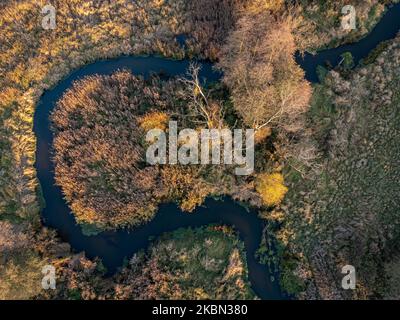 Fall colors by the Grabia River, lit by the setting sun, Poland Stock ...