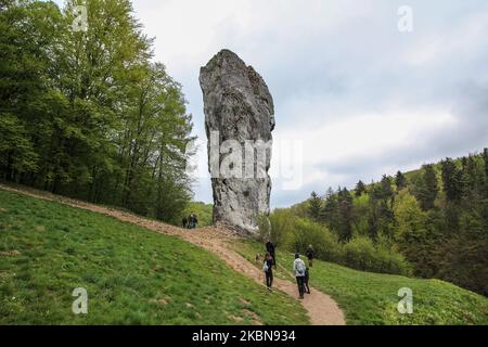 Maczuga Herkulesa rock is seen in Suloszowa, Poland, on 3 May 2020 ...