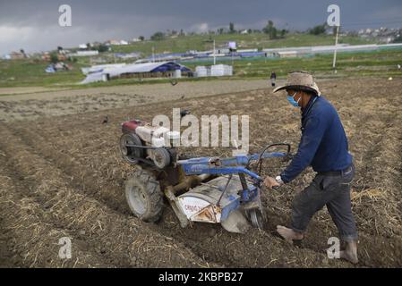 A Nepalese farmer Plough field using tractor plantation at Kirtipur ...