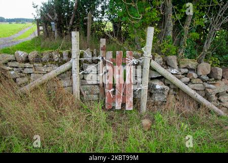 traditional stone gate or stile in a dry stone wall with flowers and ...