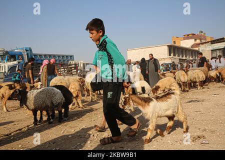 Syrians buy sheep and goats from the local livestock market in the city ...