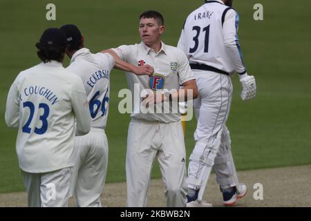 Matthew Potts of England celebrates taking Tom Blundell of New Zealand ...