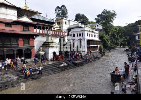 A Nepalese Priest offering rituals during Janai Purnima festival or ...
