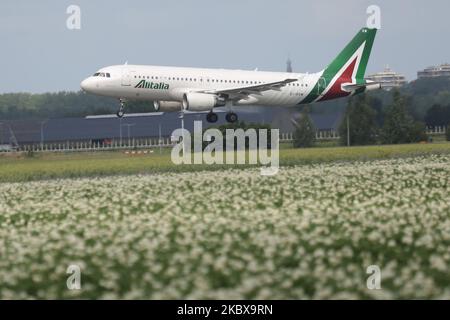 Alitalia Airbus A320 aircraft as seen on final approach flying and ...