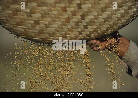 Winnowing rice from husk Stock Photo - Alamy