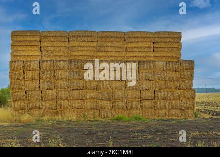 Large Stack of Conventional Bale Square Shape Traditional Farming Stock ...