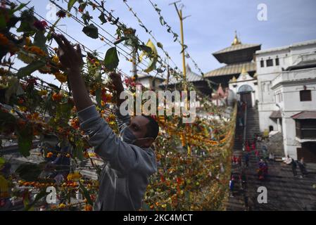 A Nepalese devotee tighten religious rope consists of flower, fruits ...