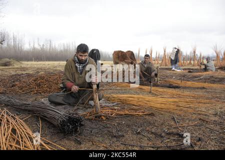 Kashmiri workers peel off the skin from boiled twigs to make a "Kangri ...