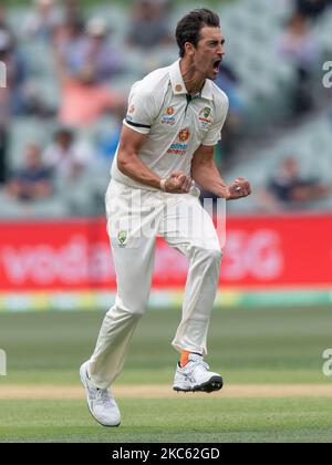 Mitchell Starc of Australia celebrates during the Dettol Series 2nd ODI ...