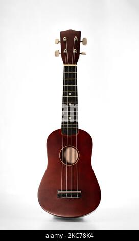 A 3D vertical of a brown ukulele isolated on a white background Stock ...