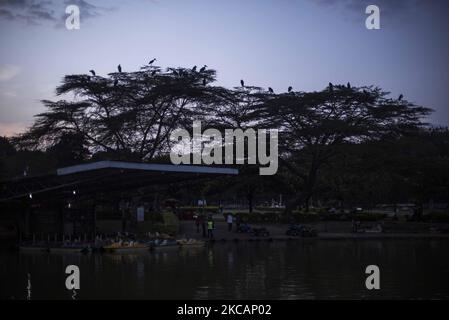 A Sunday afternon in Uhuru Park, in Nairobi, on march 7, 2021. (Photo ...