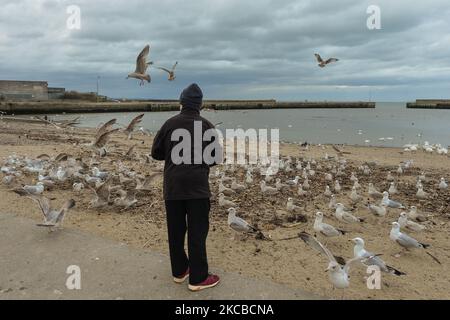 A man feeds a swan and a flock of pigeons at St Stephen's Green Park in ...