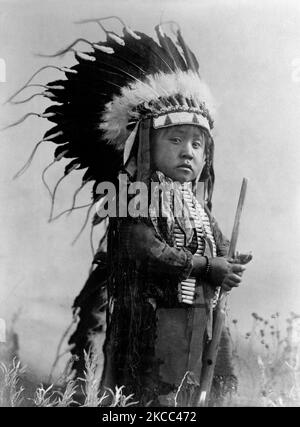 Sioux Indian, full-length portrait, facing left, holding rifle, in ...