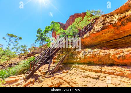 Wooden stairs along Kings Canyon Rim with footbridge over Garden of ...