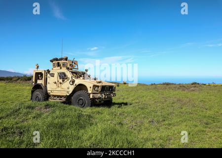 58th Military Police Company, 728th Military Police Battalion, 8th ...